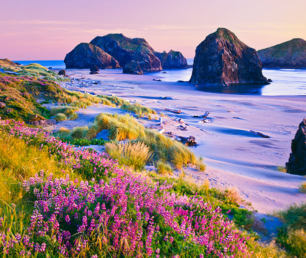 Explore Cape Sebastian State Scenic Corridor - Gold Beach Inn