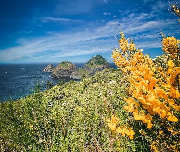 An Affordable Hotel in Gold Beach Oregon | Gold Beach Inn